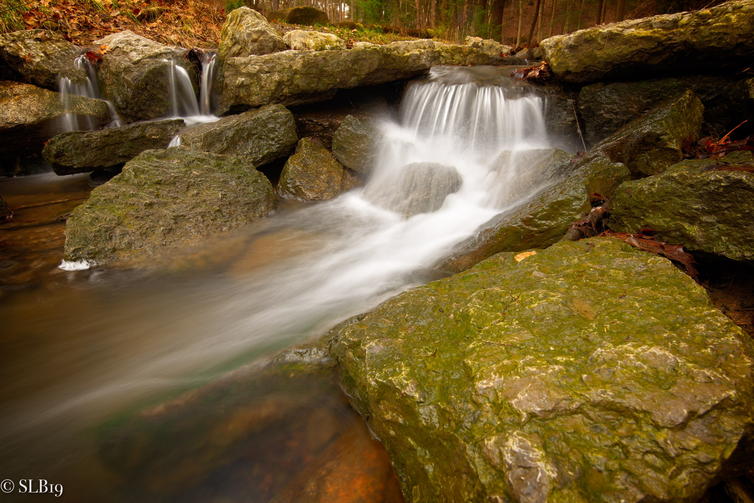 Fall Run Park | SLB Photography