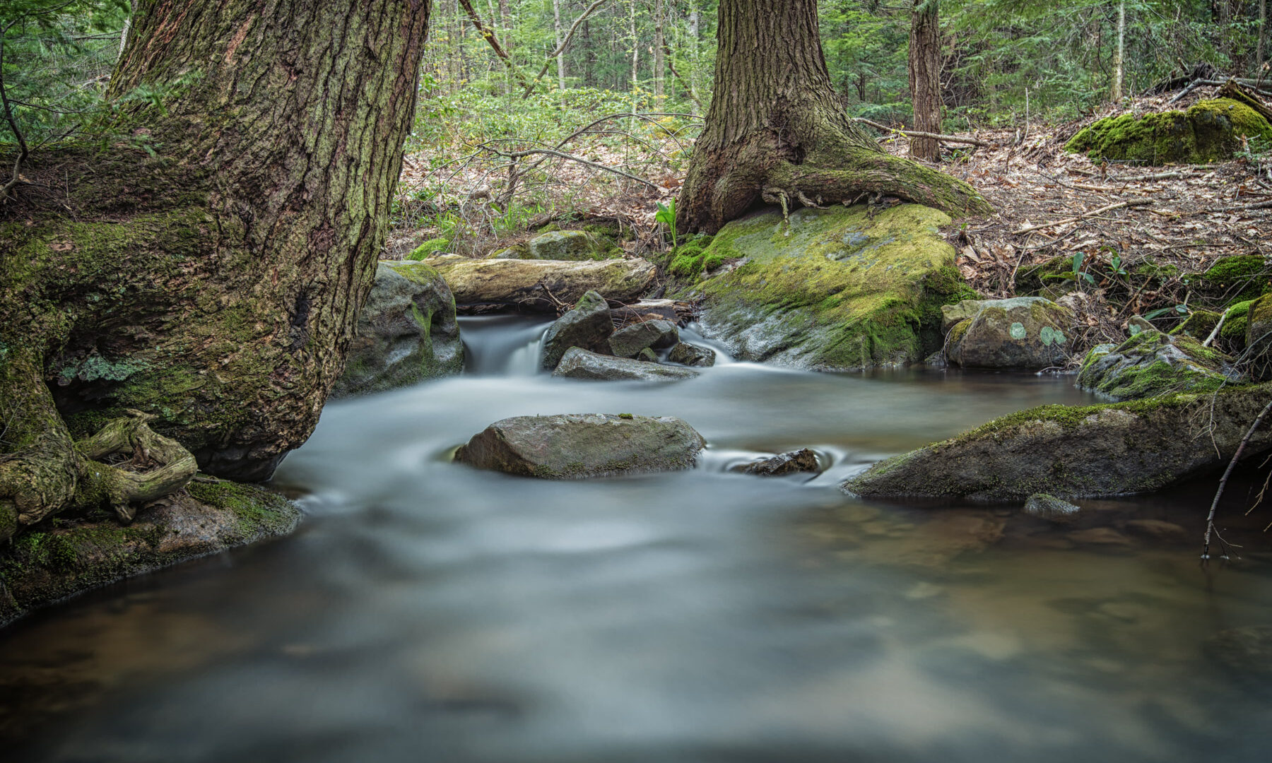 LHHT - Part 2 | SLB Photography