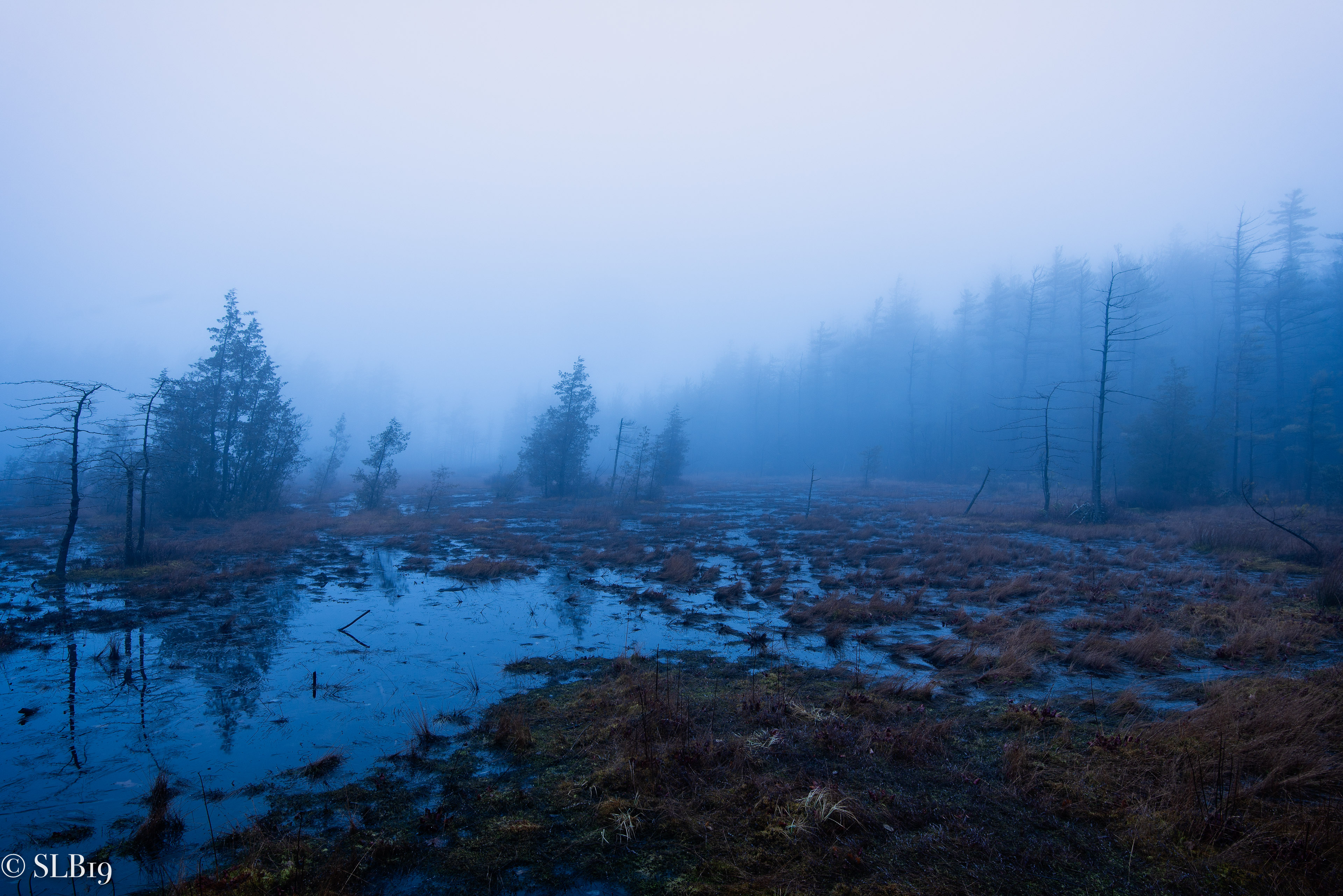 Recent Work | SLB Photography