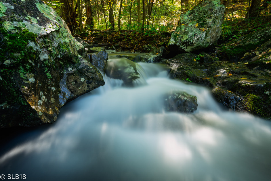 Shenandoah | SLB Photography